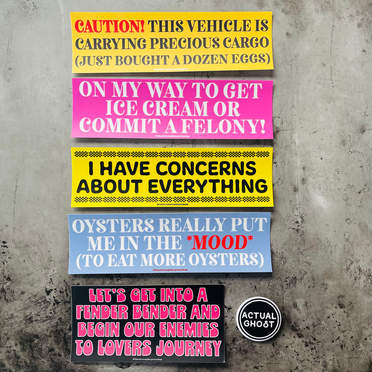 I have concerns about everything Bumper Sticker – The Silver Spider