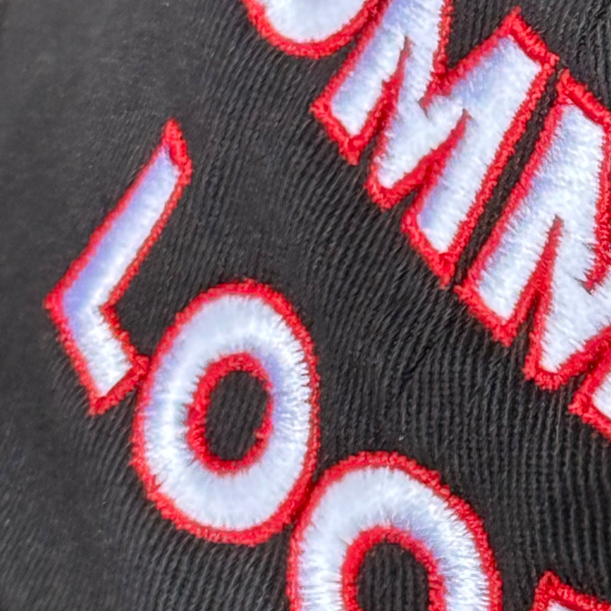Common Loon Dad Hat – The Silver Spider