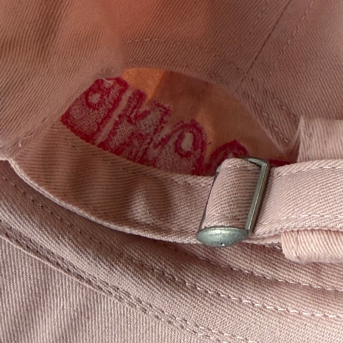 Spoonbill Dad Hat – The Silver Spider